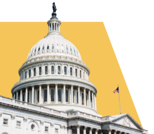 Home - Network Advocates